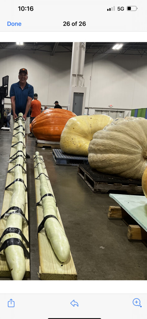 Long Gourds - Worldwide Giant Growers